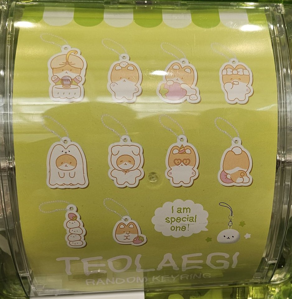 kat ♡ yangdo assist: OPEN | mention after dm on Twitter: " wts lfb ph ·˚ ༘ Teolaegi Zipduri by ...