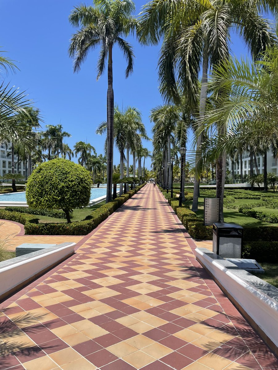 Norbert Durst on Twitter: "We had a great time in Punta Cana celebrating our first anniversary."