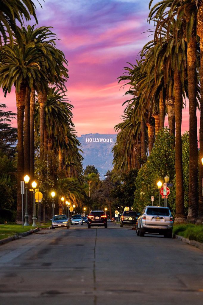 Hollywood Sunset Sign Wallpaper 240+ Hollywood Sign Sunset Stock