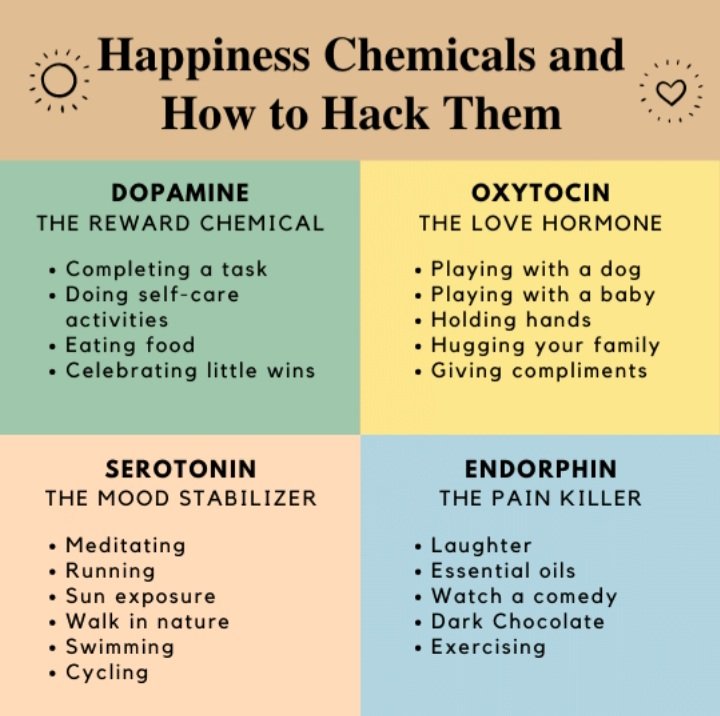 How to hack your happy hormones : - Thread from ElevateYourMind ...