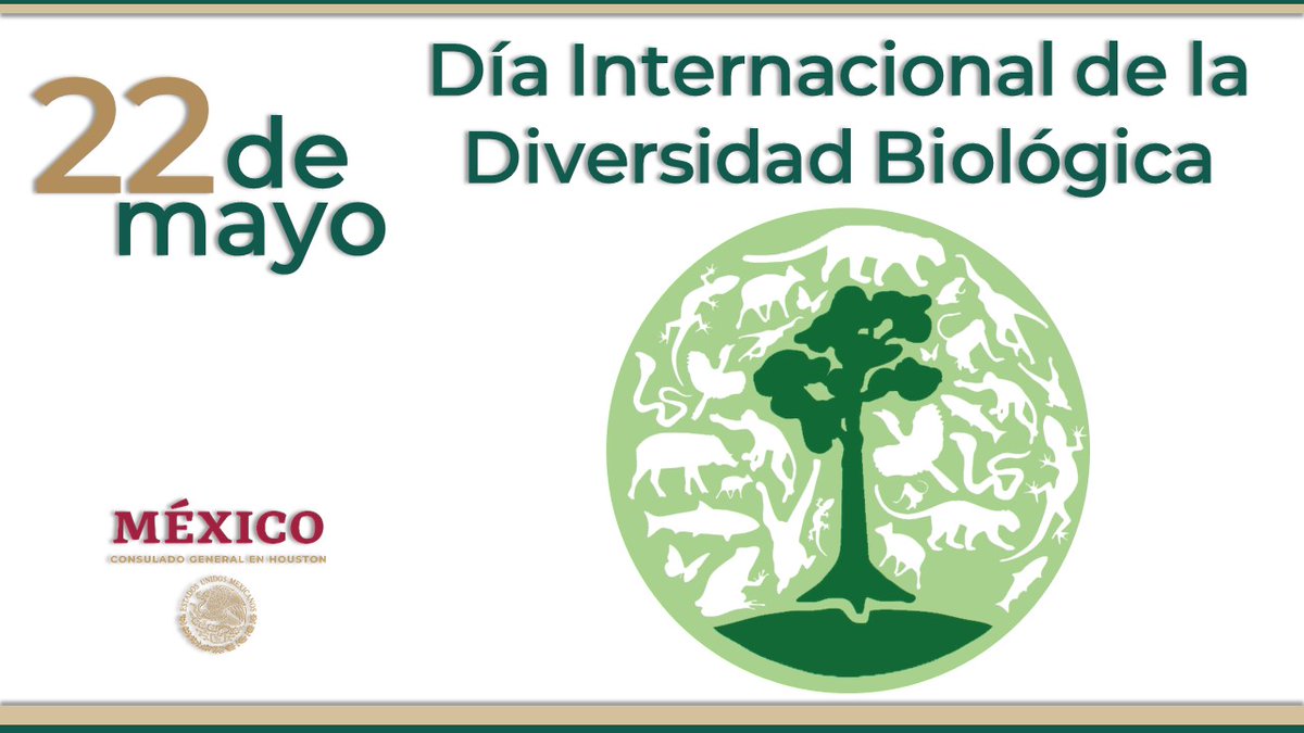 Consulmex Houston On Twitter 🌿🦋 Recordemos La Importancia De La