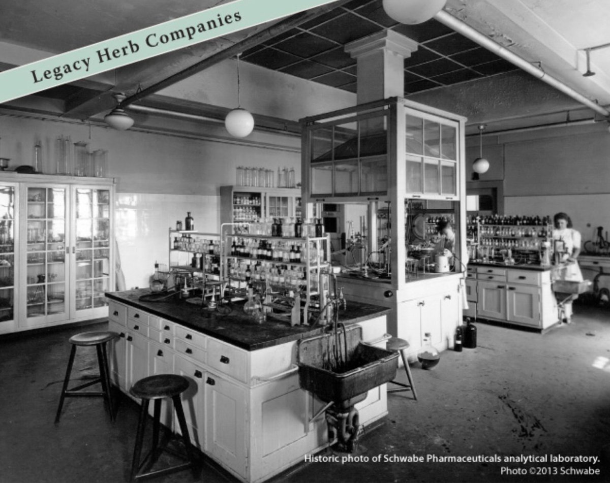 An addendum to a prev. thread about the occult scene that revolved ...