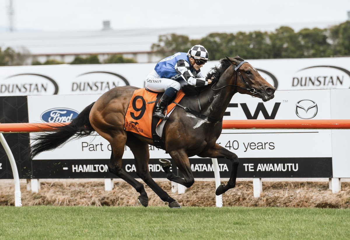 Waikato Stud on Twitter: "The @mmsnippets National Broodmare Sale kicks off with a bang as ...