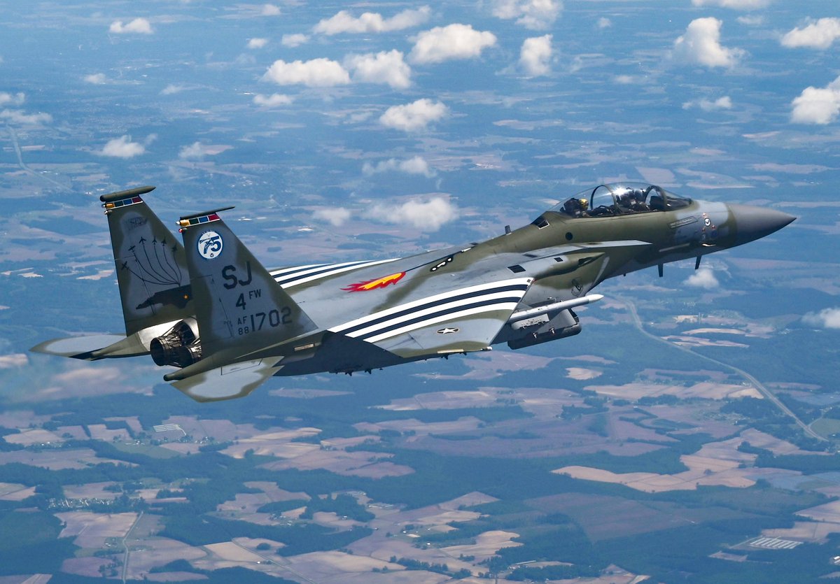 ナンガ(^O^)σ on Twitter: "RT @Fighterman_FFRC: 4th Fighter Wing's new heritage jet. The camo design ...