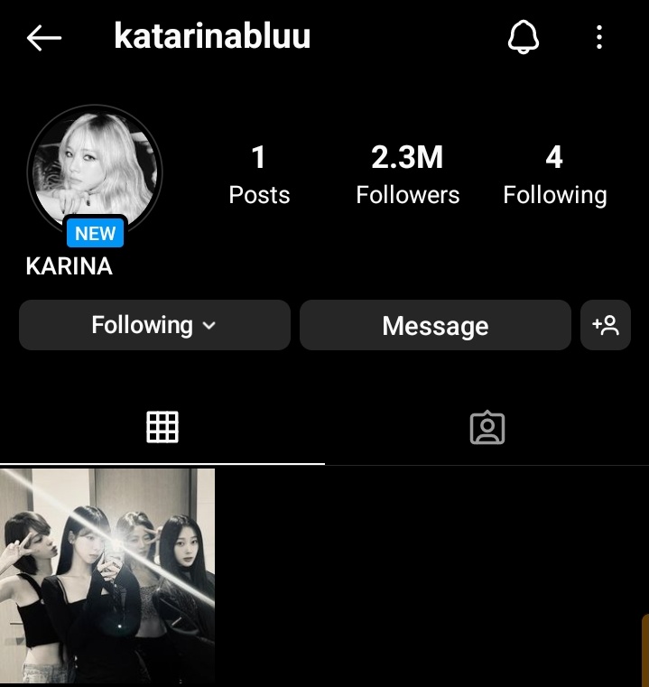 つ spicy 🌶️ on Twitter: "RT @insta_rina: KARINA (@.katarinabluu) has achieved 2.3M followers on ...