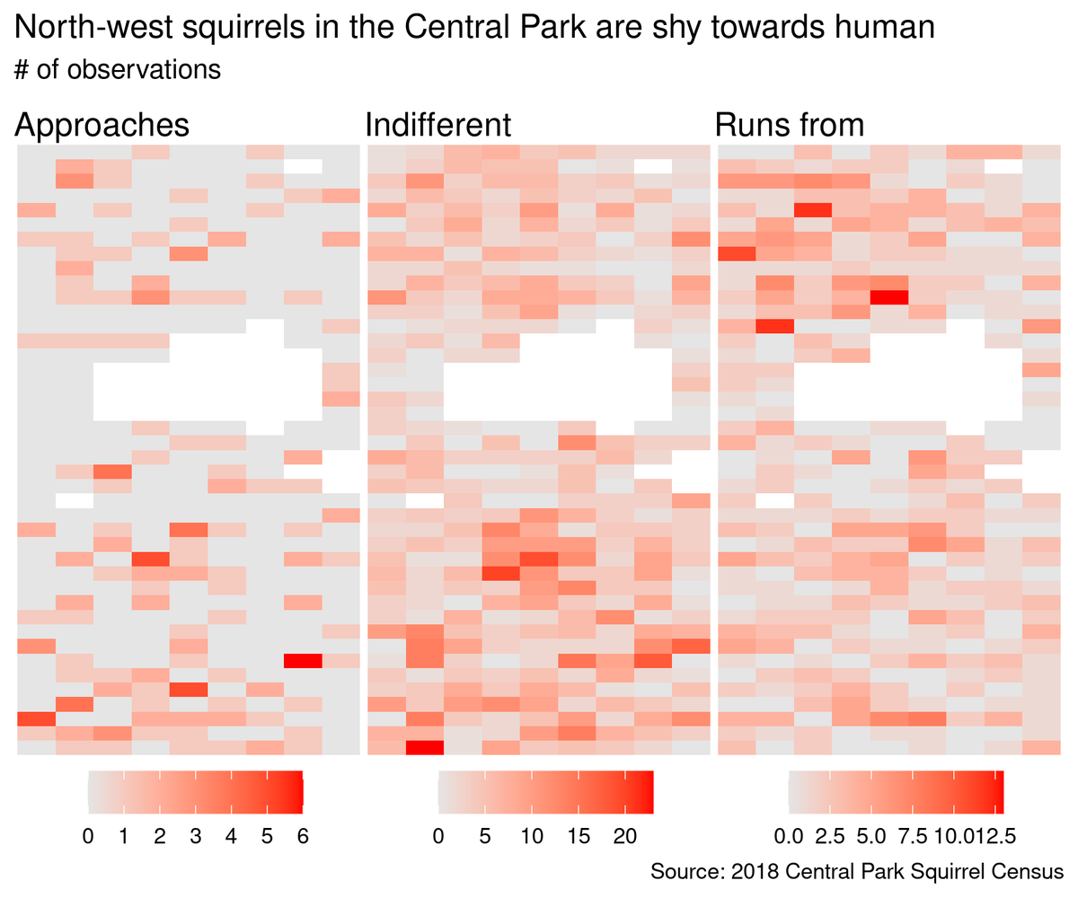 Mitsuo Shiota on Twitter: "My submission for #TidyTuesday, Week 21 on Central Park Squirrels. I ...