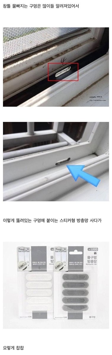 뭐이 On Twitter 저 좁은곳으로 들어왔다고 생각하니까 더 빡치고 괘씸함