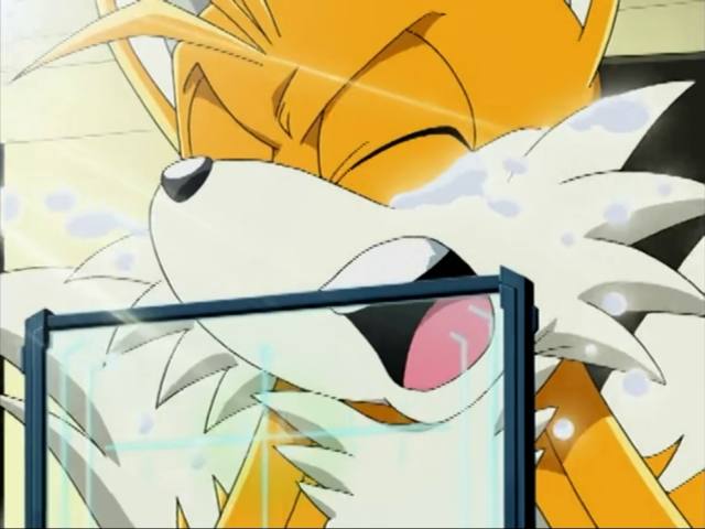 Sonic X Tails Crying