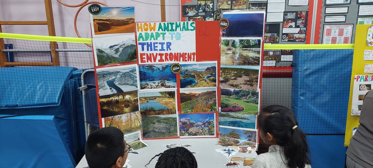 Social Wall - Hunters Hall Primary School