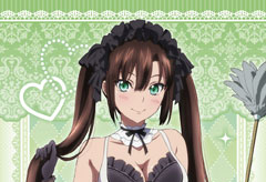 あみあみ on Twitter: "ストライク・ザ・ブラッド FINAL 描き下ろし等身大タペストリー[メディコス・エンタテインメント] 姫柊雪菜⇒https://amiami.jp/top ...