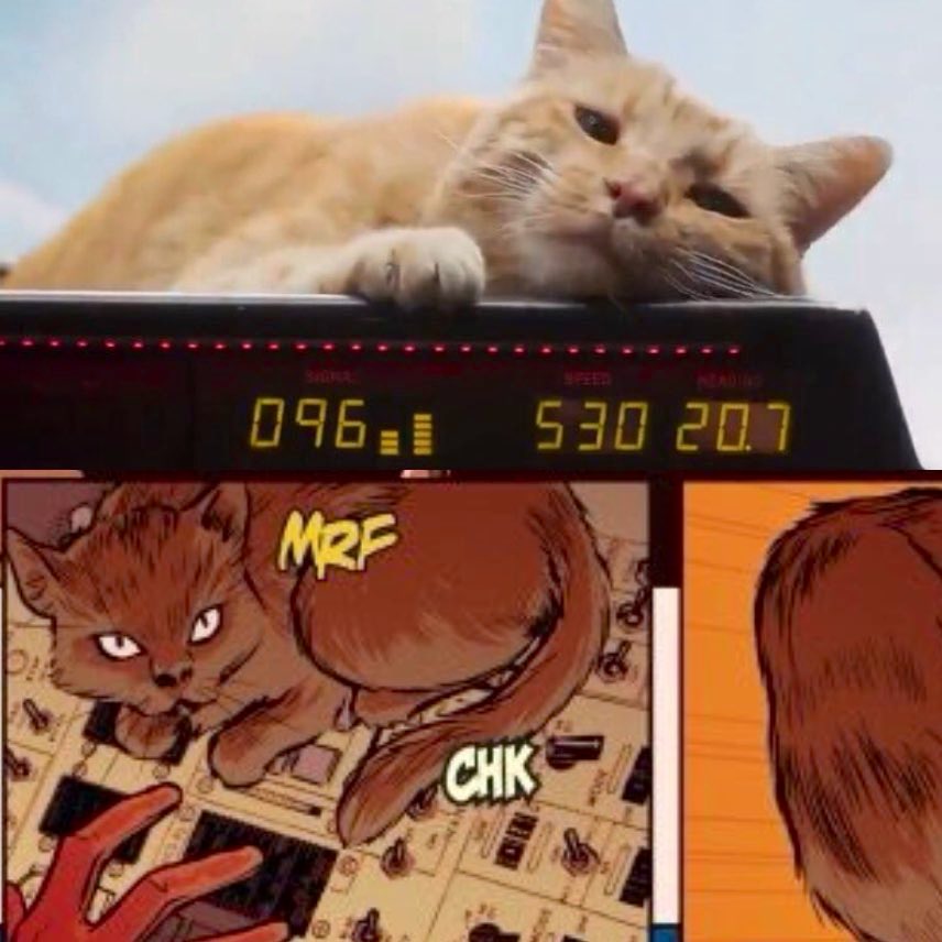 Captain Marvel News On Twitter Good Girl Goose The Flerken Cat And