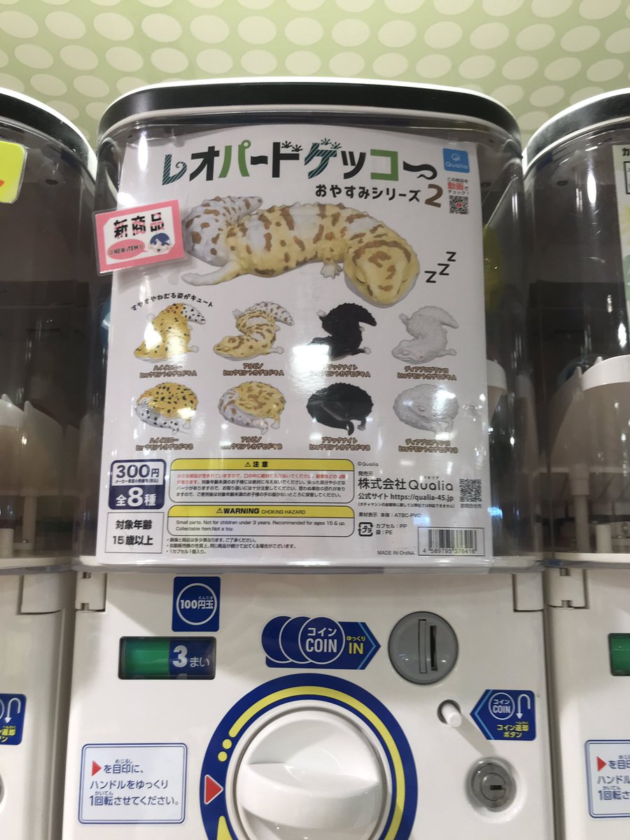 ＃C-pla札幌エスタ店【公式】 on Twitter: "🌼新商品情報🌼 📌 袋＆箱入り！ミニチュアアイスマスコット 2 📌 キラキラシャリシャリかき氷 📌 レオパードゲッコー おやすみ ...