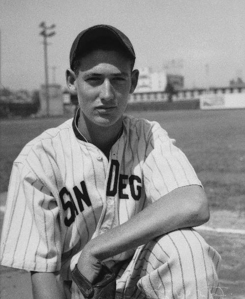 Ted Williams Baseball Player Quotes