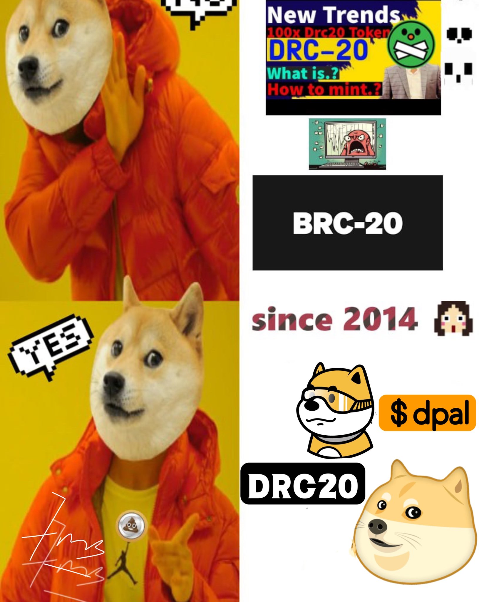 Drc20 lover (@Drc20Lover) / Twitter