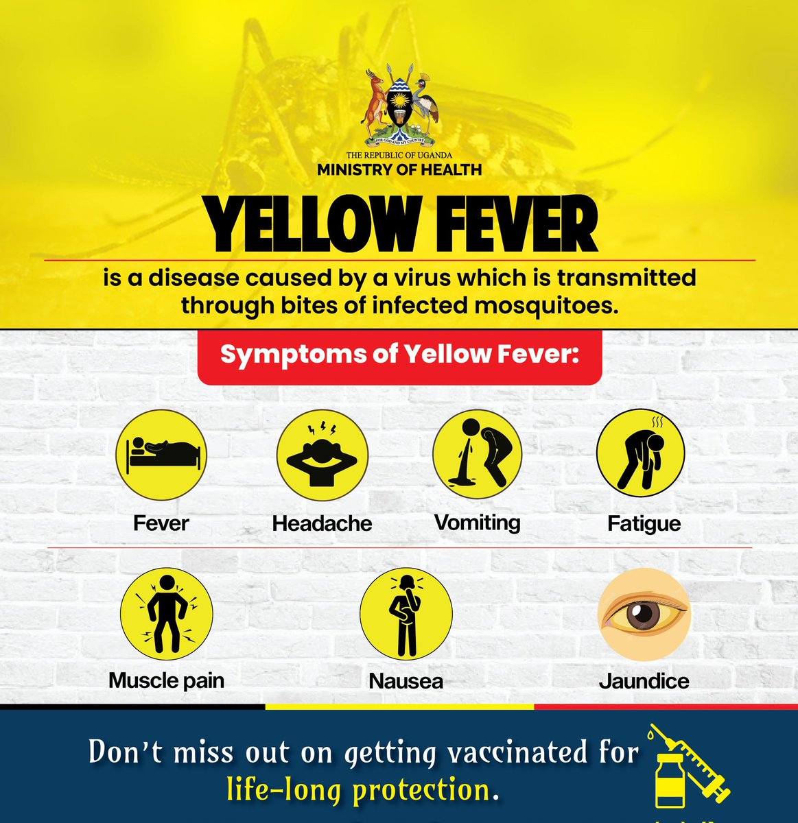 Phiona Kobusingye on Twitter: "A single dose of yellow fever vaccine is ...