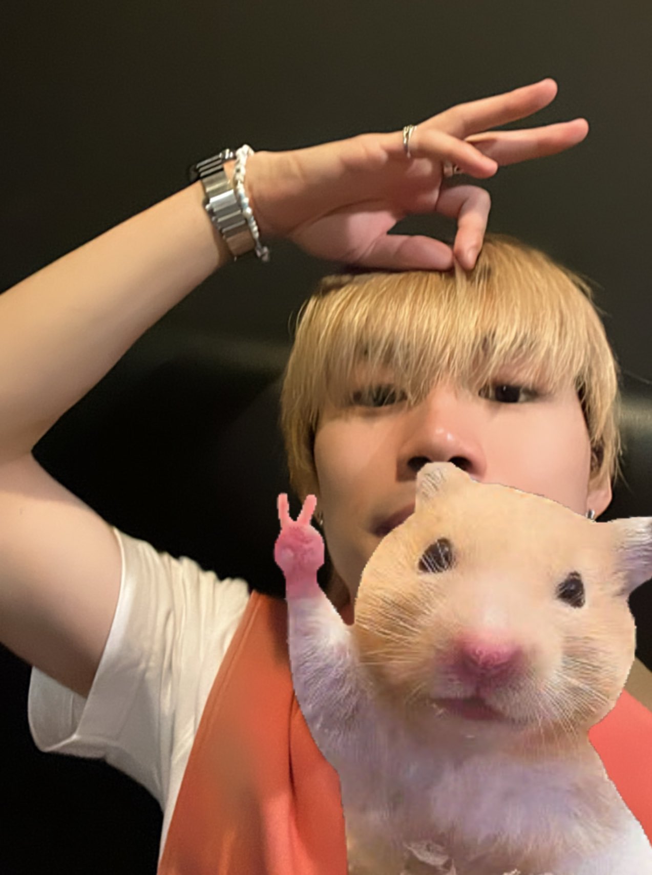 KENTO【VELLE.J】 on Twitter: "ストロベリームーンお綺麗でした ⬆️昨日ツイートした思たら下書きに保存してた🤦‍♂️ ではRECいい物作ってきます🎤🔥 #ノーセット ...