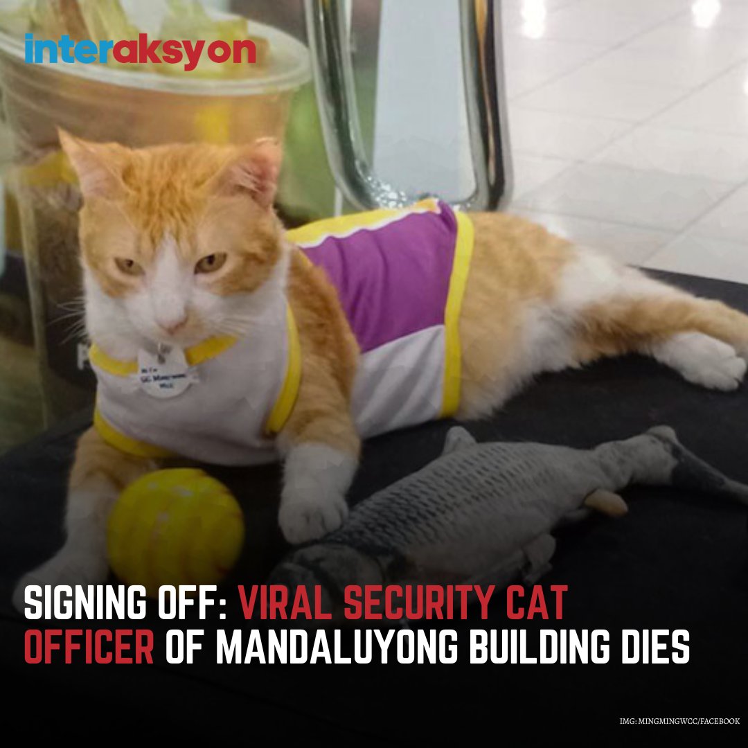 Philstar.com on Twitter: "RT @interaksyon: 'RUN FREE, MINGMING' “The Best Security Cat officer ...
