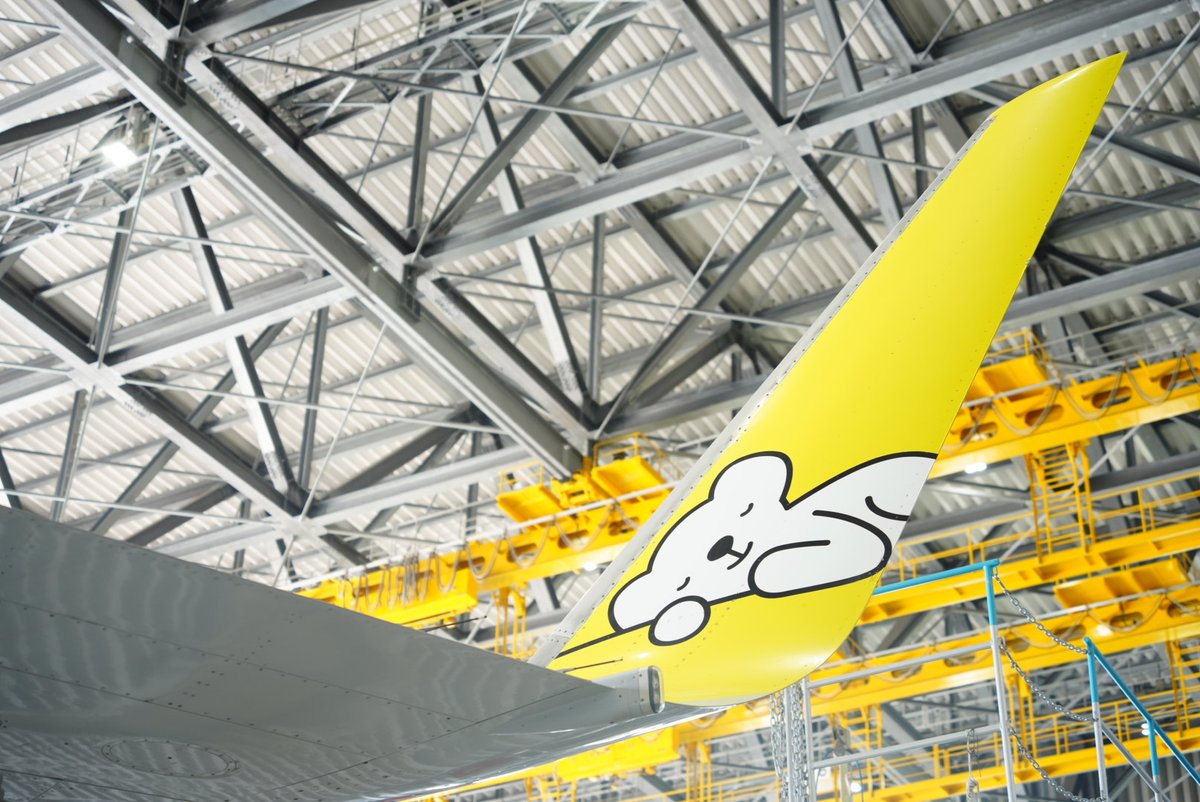 MRO Japan 株式会社 on Twitter: "( ˘ω˘ ) ｽﾔｧ… @airdo_hokkaido https://t.co/IRO7LFktd8" / Twitter