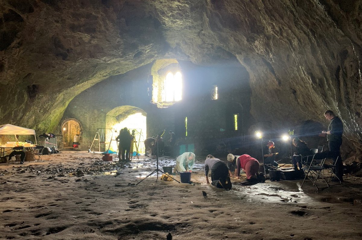 Wogan Cavern on Twitter: "We'll be in the field @wogancavern in less than 2 weeks! 😱In the lead ...