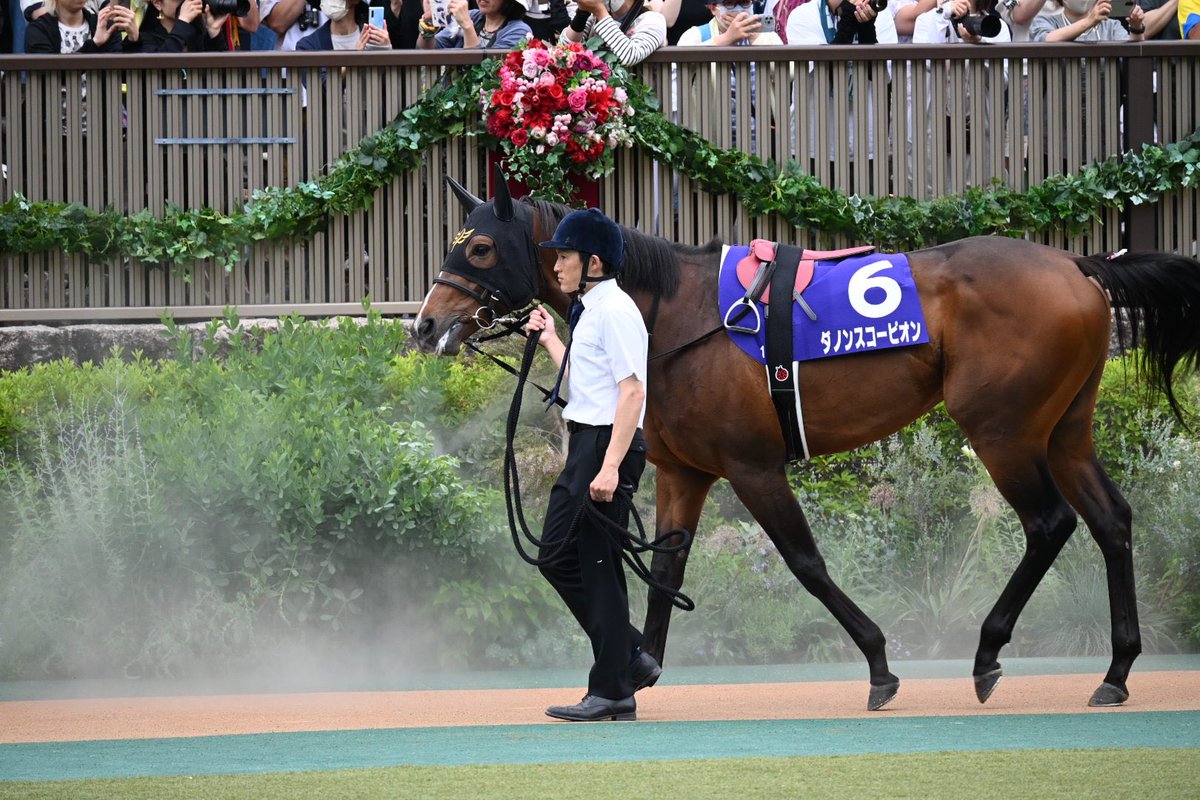 下芝祐貴_写真用@秋華賞 on Twitter: "2023/06/04 東京11R 安田記念 ダノンスコーピオン M.デムーロ騎手 #安田記念 #ダノンスコーピオン #ミルコ・デムーロ"