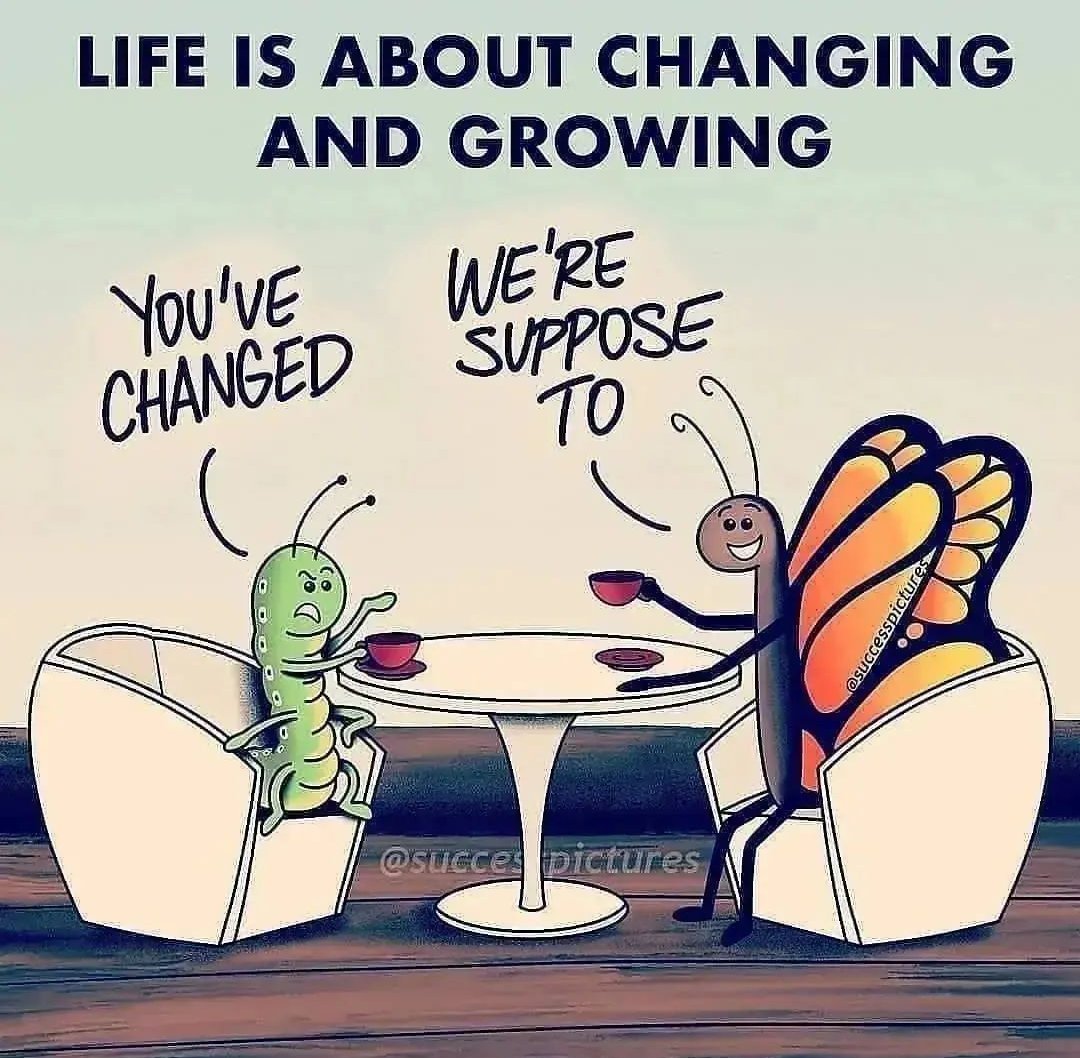 Constant Change Cartoon