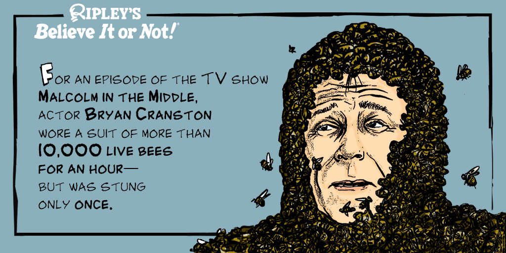 Ripley s Believe It Or Not On Twitter Bryan Cranston Proving His ripley-s-believe-it-or-not-on-twitter-bryan-cranston-proving-his
