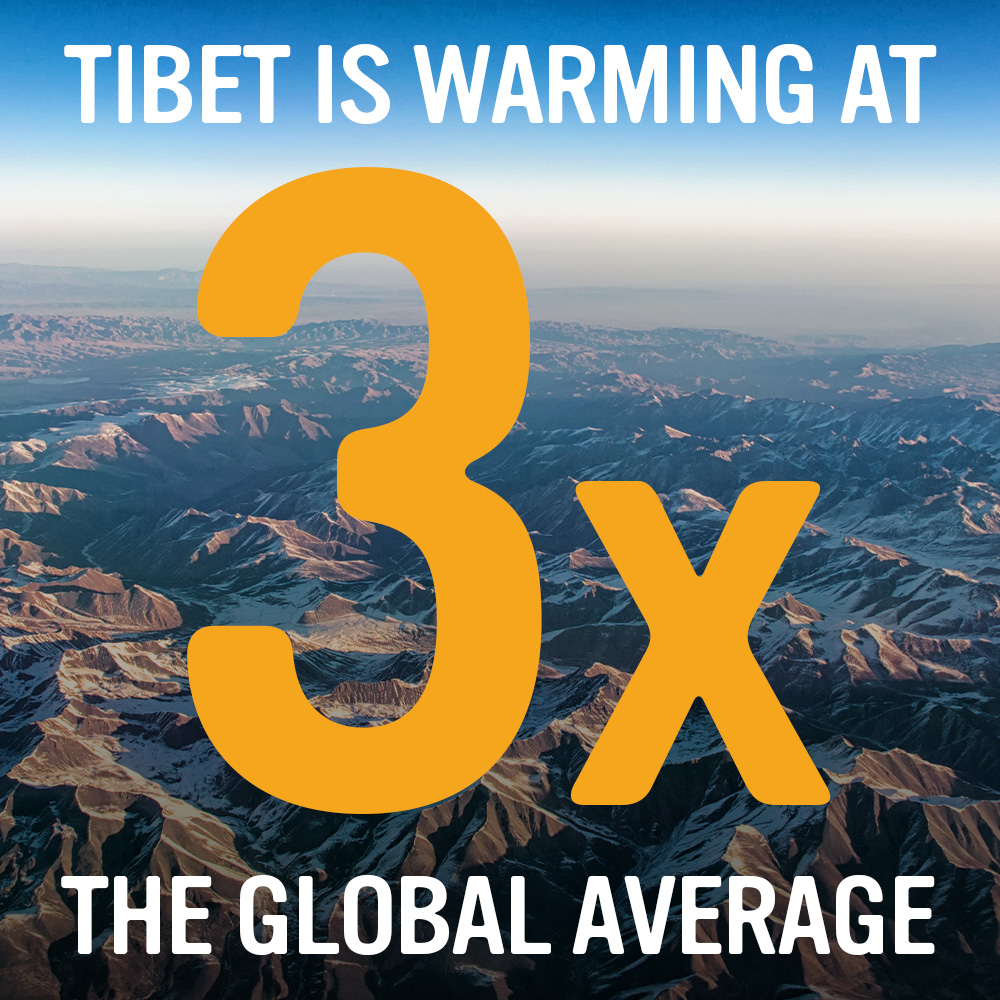 International Campaign for Tibet on Twitter: International Campaign for Tibet on Twitter: