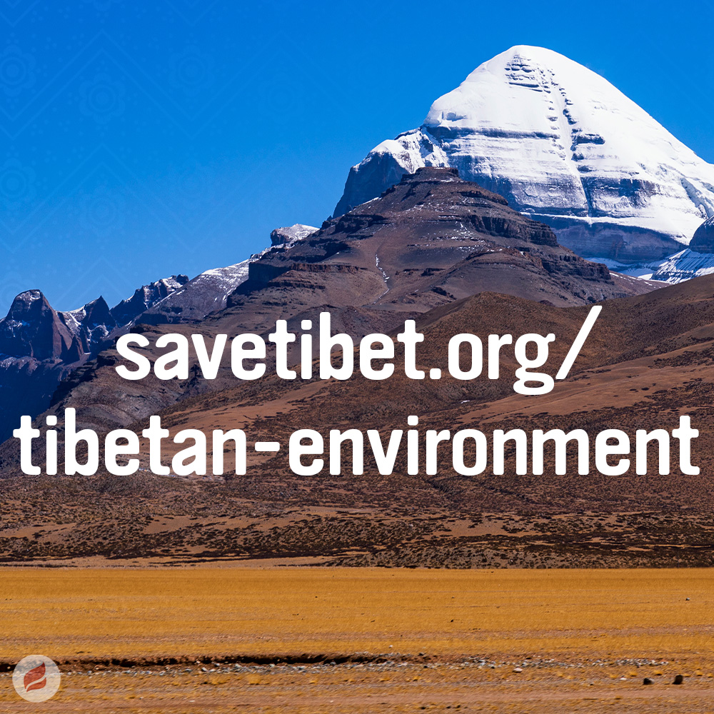 International Campaign for Tibet on Twitter: International Campaign for Tibet on Twitter: