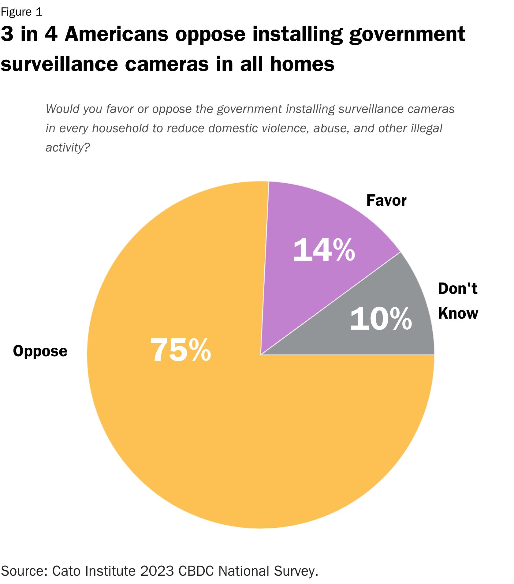 Nsa Surveillance Cameras