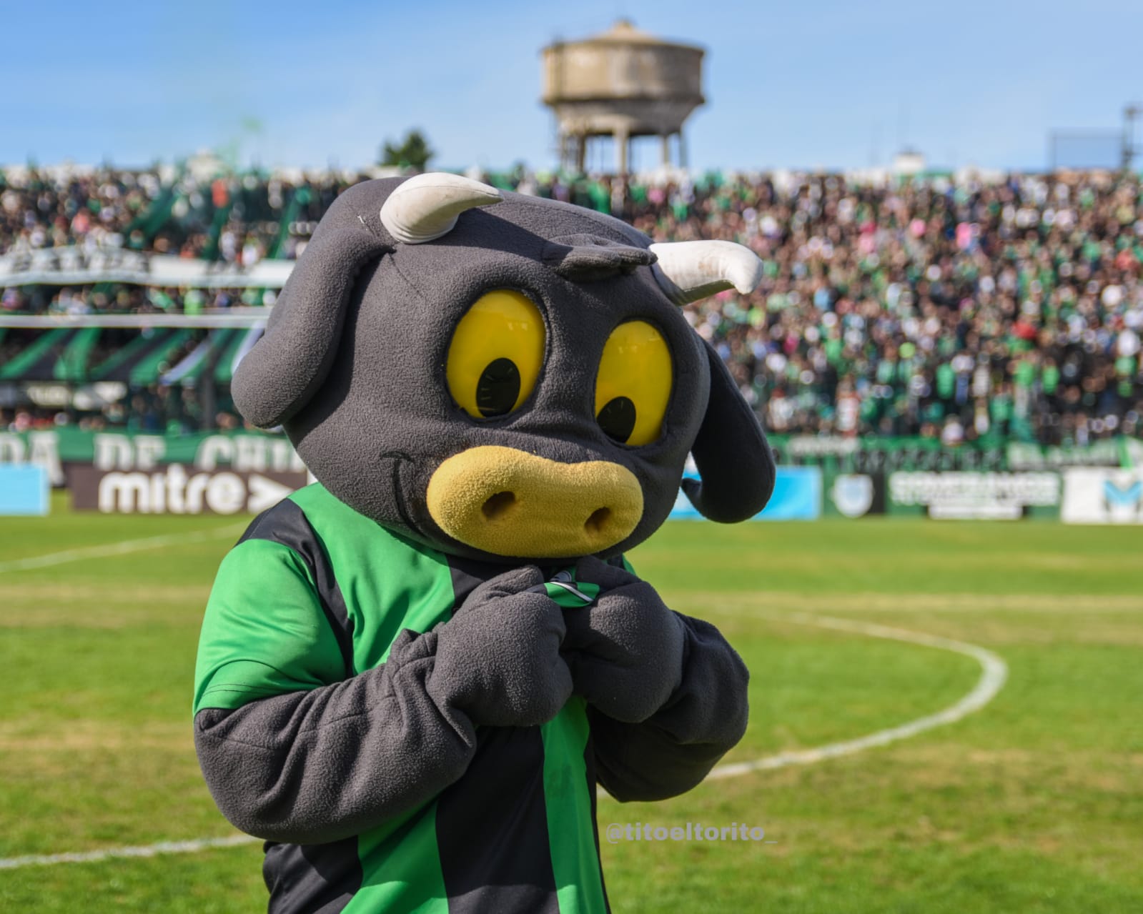 Tito el Torito (@titoeltorito_) / Twitter