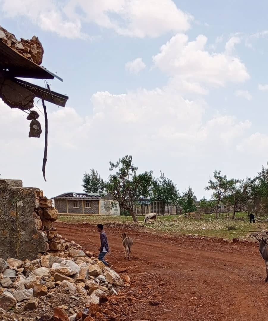 Ƒìէաì || #EndTigraySiege || #EndTigrayGenocide || on Twitter: "During the 1998-00 border war ...