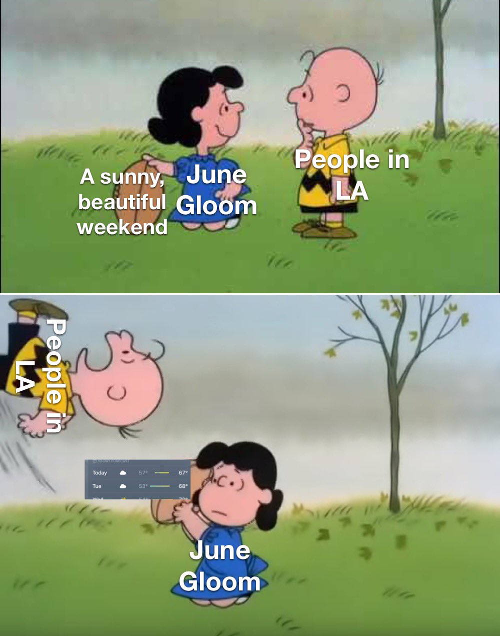 B9 Memes