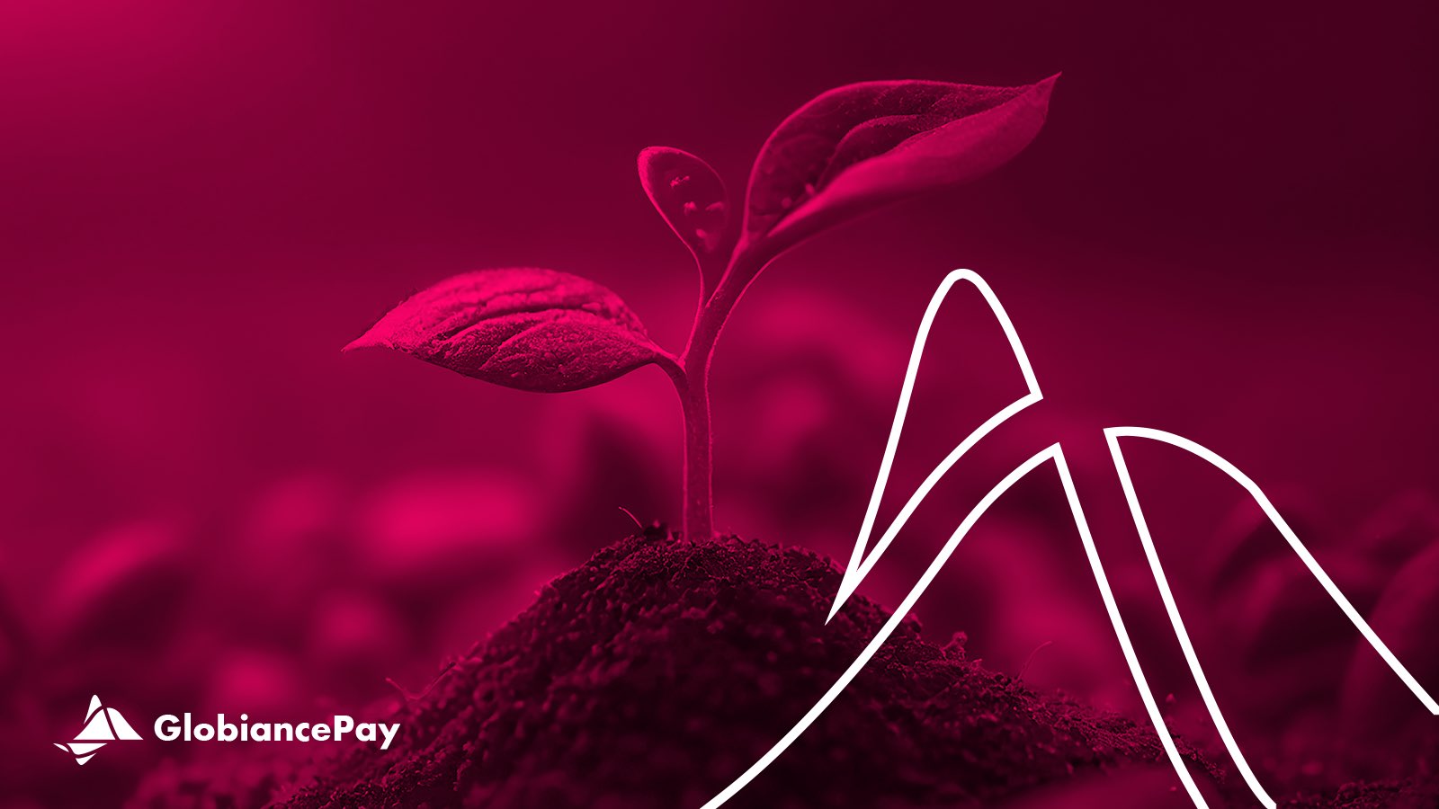 Globiancepay on Twitter: "GlobiancePay is Revolutionizing finance & putting the planet first.🌱 ...