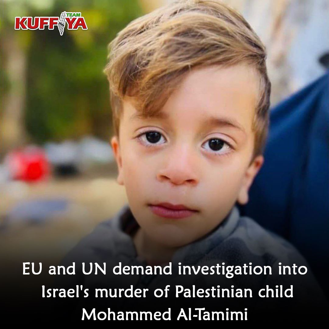 Kuffiya on Twitter: "European Union and United Nations demand investigation into Israel's murder ...