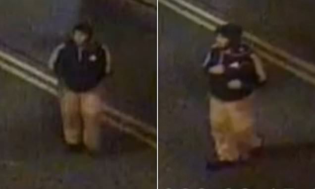 Daily Mail Online On Twitter Urgent Manhunt For Sex Attacker
