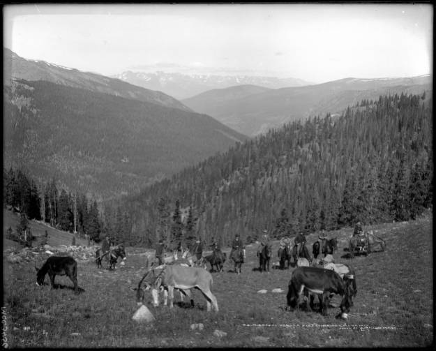 Old Colorado Photos on Twitter: "Men and mules pose on Collier Mountain ...