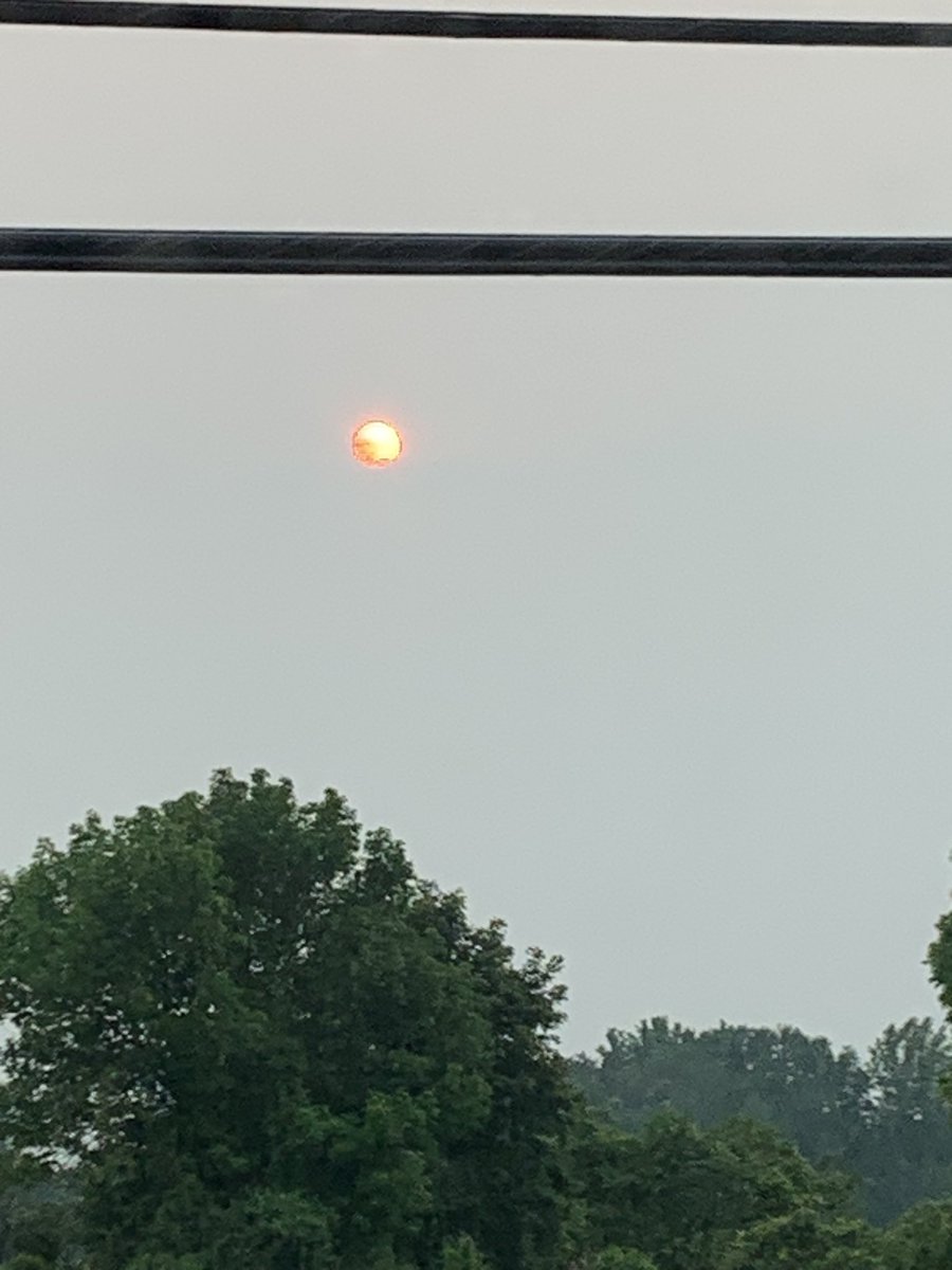 Thread by @LauraMiers on Thread Reader App – Thread Reader App