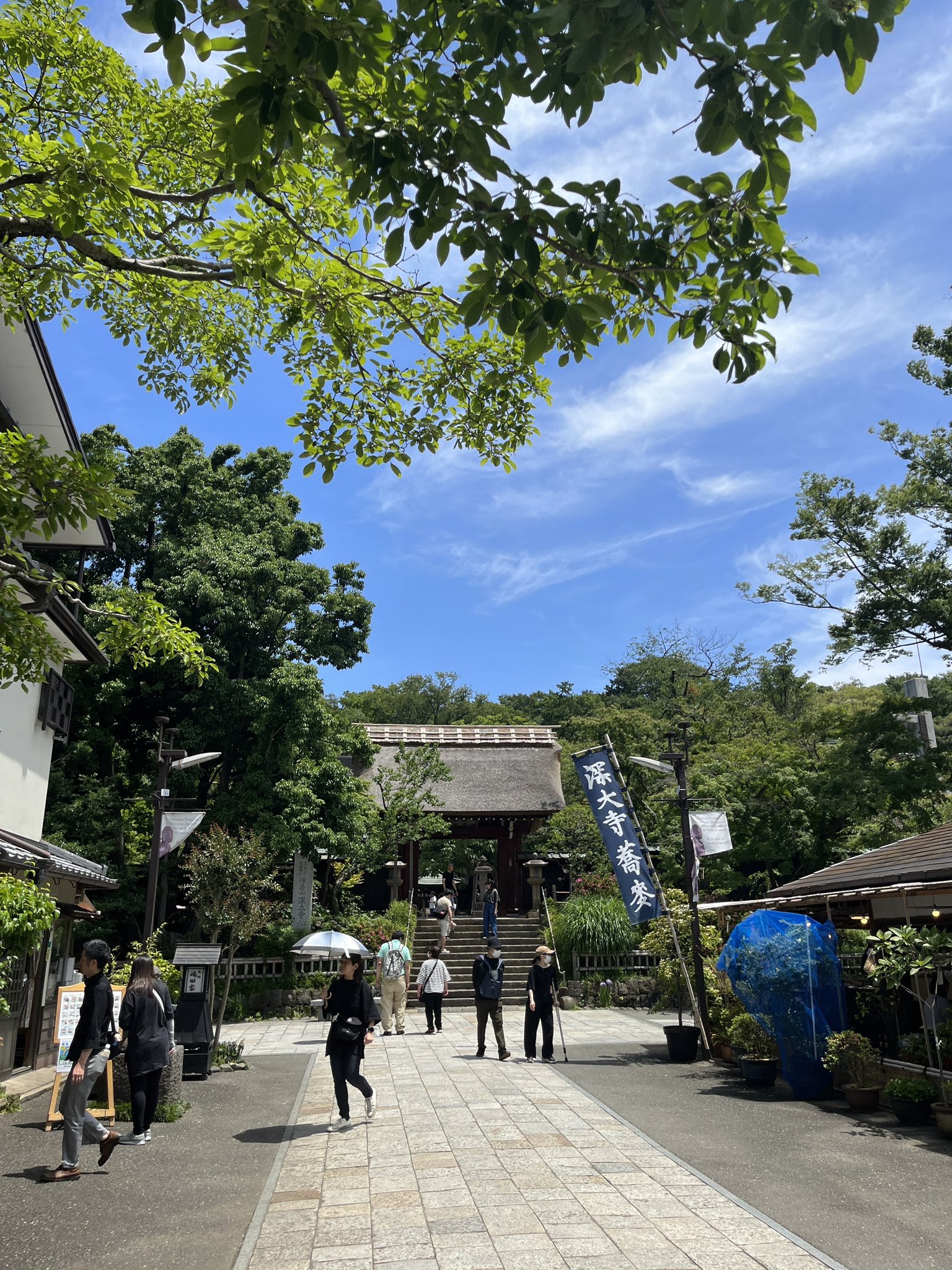 TMSLab(トムスラボ) on Twitter: "おはようございます！ 中野は晴れ☀️ 昨日はみなみちゃんにツイッター頑張って貰ったのでバトンタッチです ️ 同僚より深大寺とゲゲゲの鬼太郎 ...