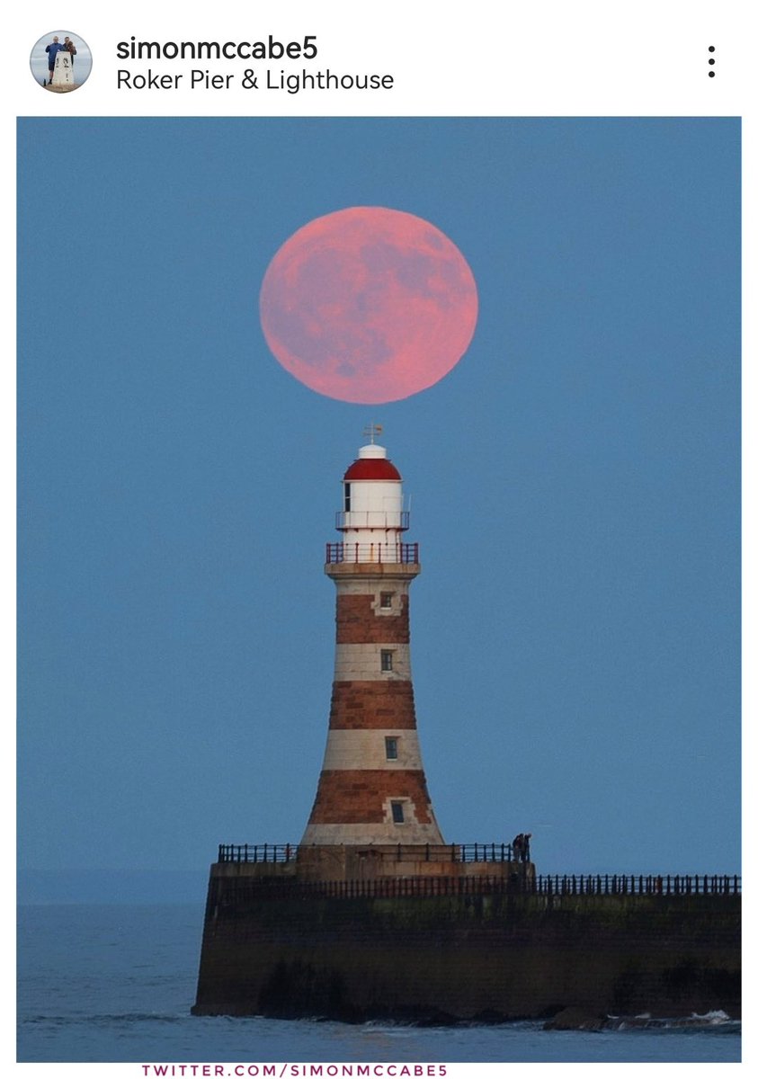 North East Tweets on Twitter: ""The wild strawberries that start to ripen during early summer ...