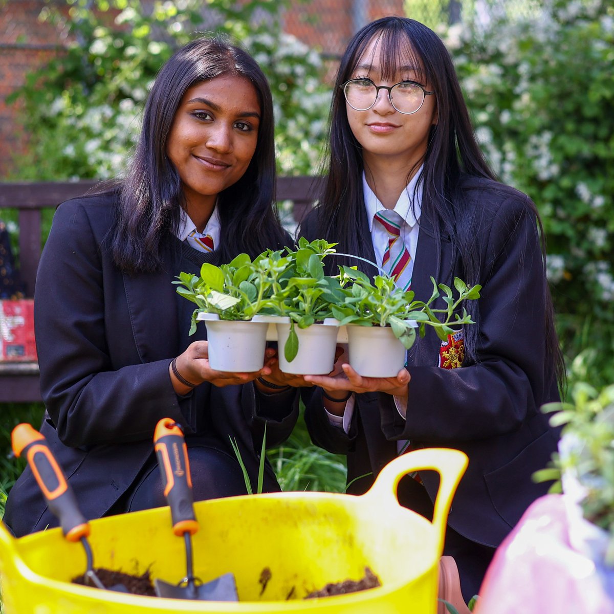 Welcome to Sir Henry Floyd Grammar School