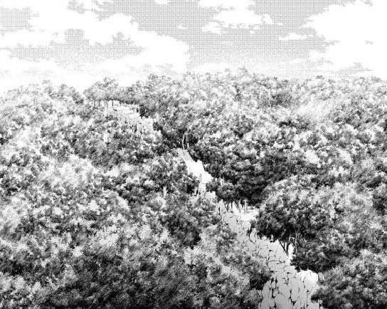 Manga Forest Background