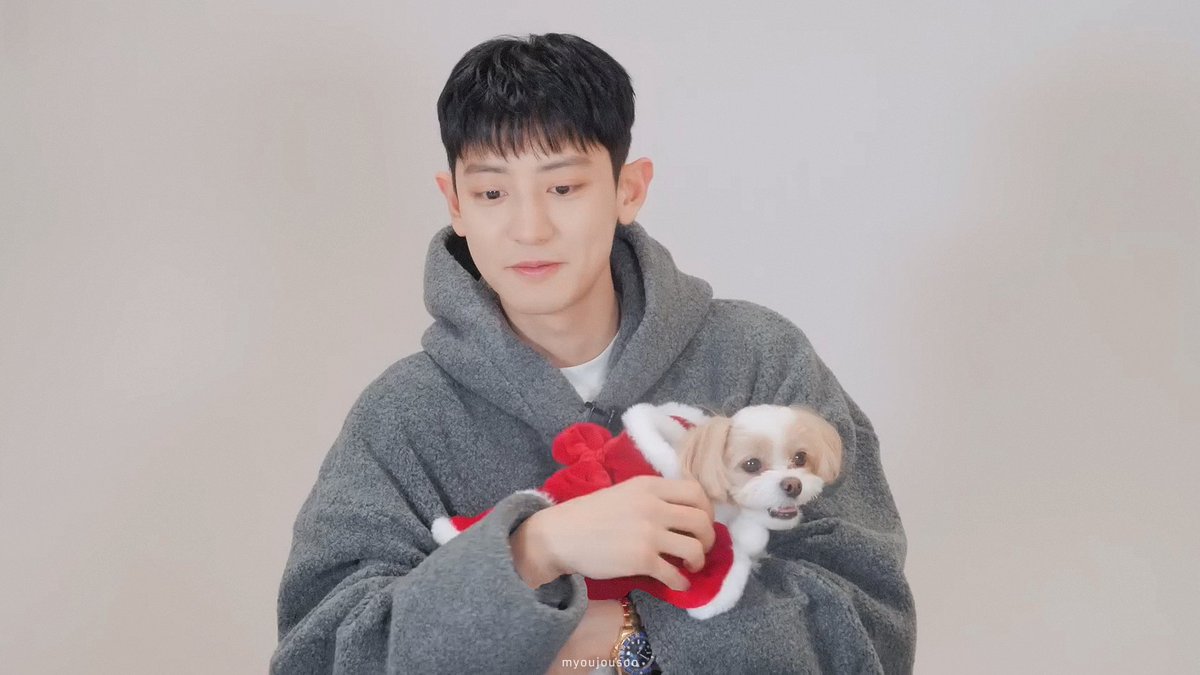 🍒에브루🍒 on Twitter: "[EDIT] #CHANYEOL's YouTube🐶🤍 https://blog.kakaocdn.net/dn/v1isf/btsiPPzGVQt ...
