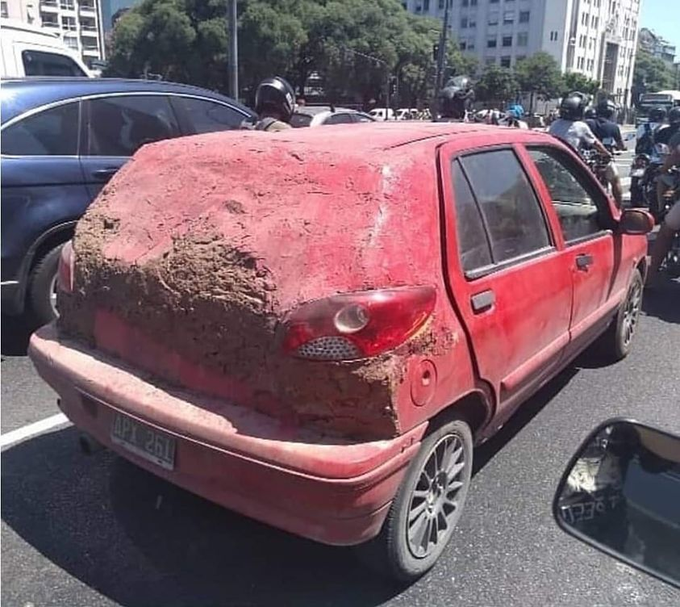 CapitánHorton2027 on Twitter: CapitánHorton2027 on Twitter: