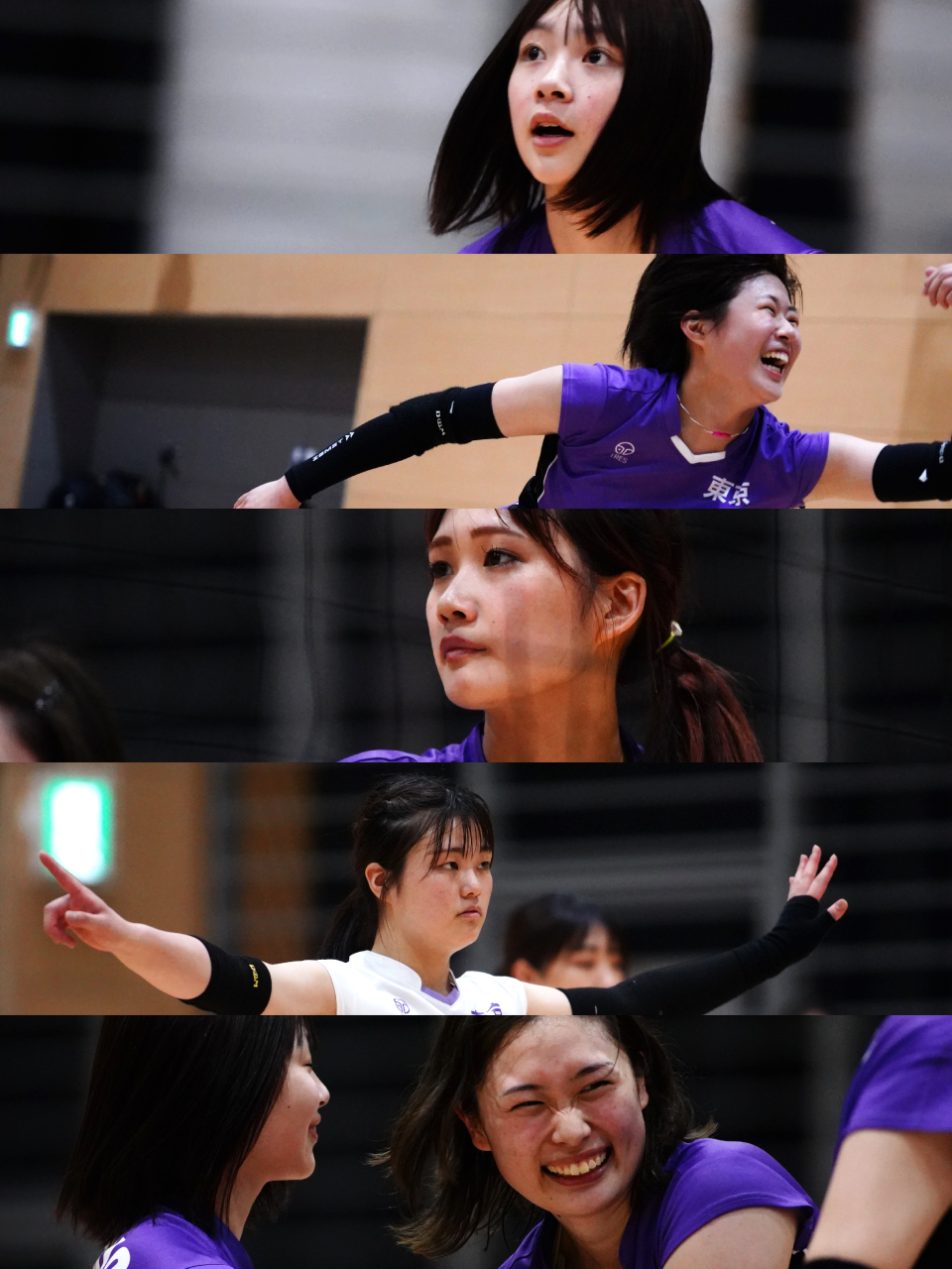 mitsu on Twitter: "New players... #GSS東京サンビームズ 国民体育大会バレーボール 東京都予選会 2023.6.3 荒川総合スポーツセンター https ...