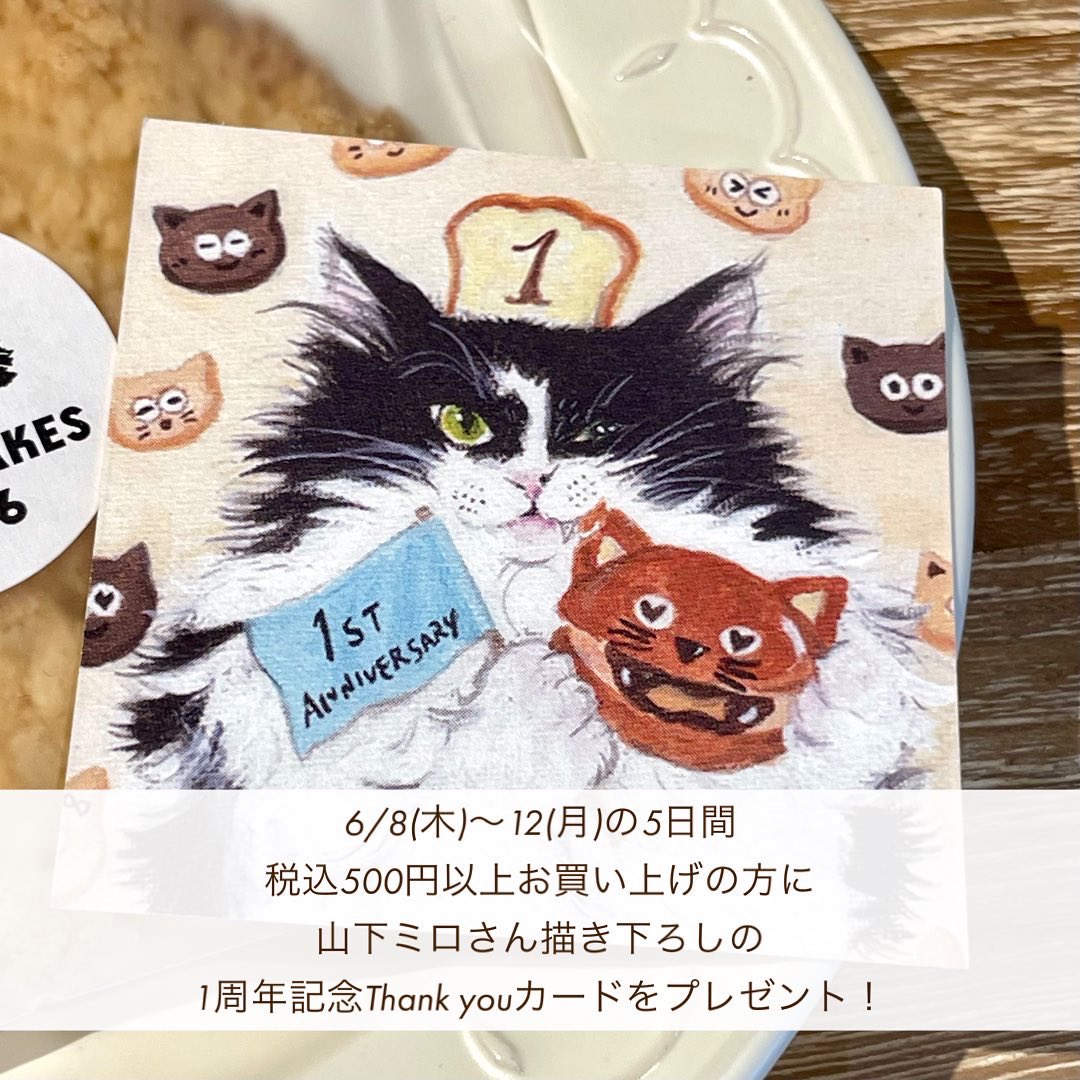 CAT & BAKES 9456 （キャットアンドベイクスグシコロ） on Twitter: "【CAT & BAKES 9456🐱1周年記念キャンペーンのお知らせ】いつも当店をご利用いただき ...