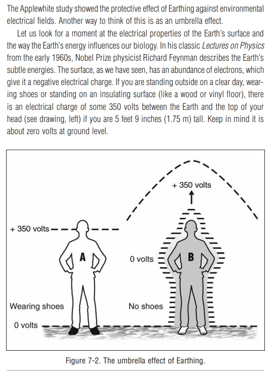 Grounding, a free health tool that almost no average person is using ...