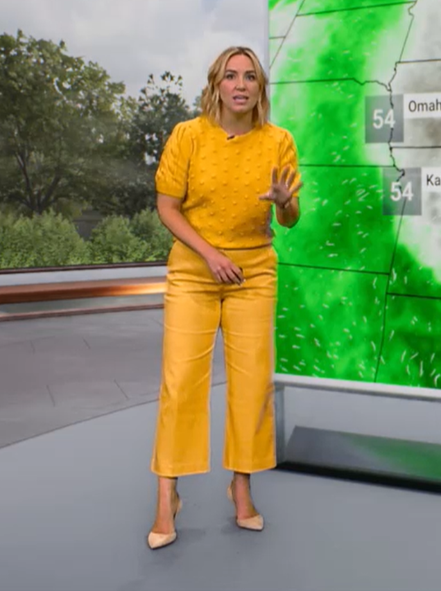 Hot Alex Wilson Meteorologist