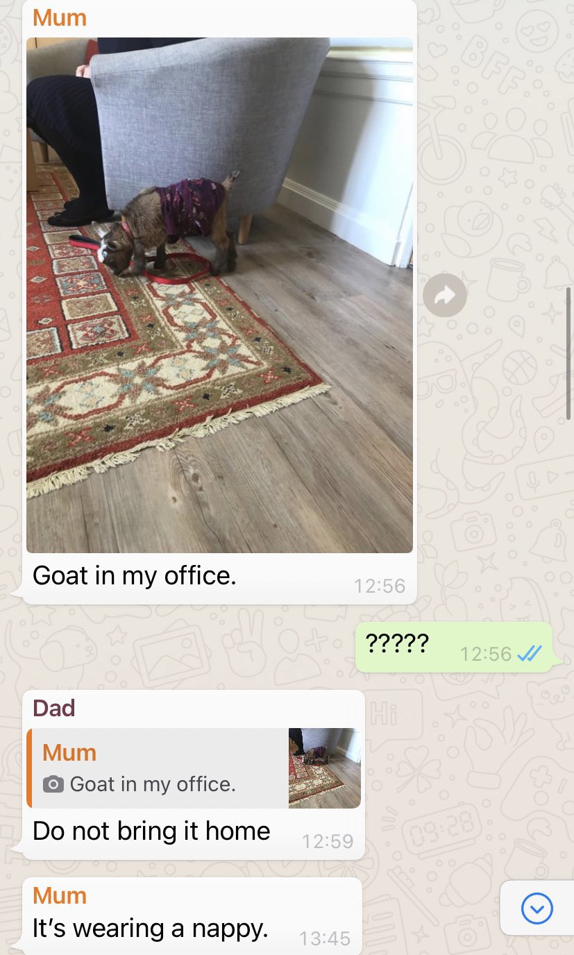 Beth McColl on Twitter: "https://t.co/rKQRcRhfSY" / Twitter