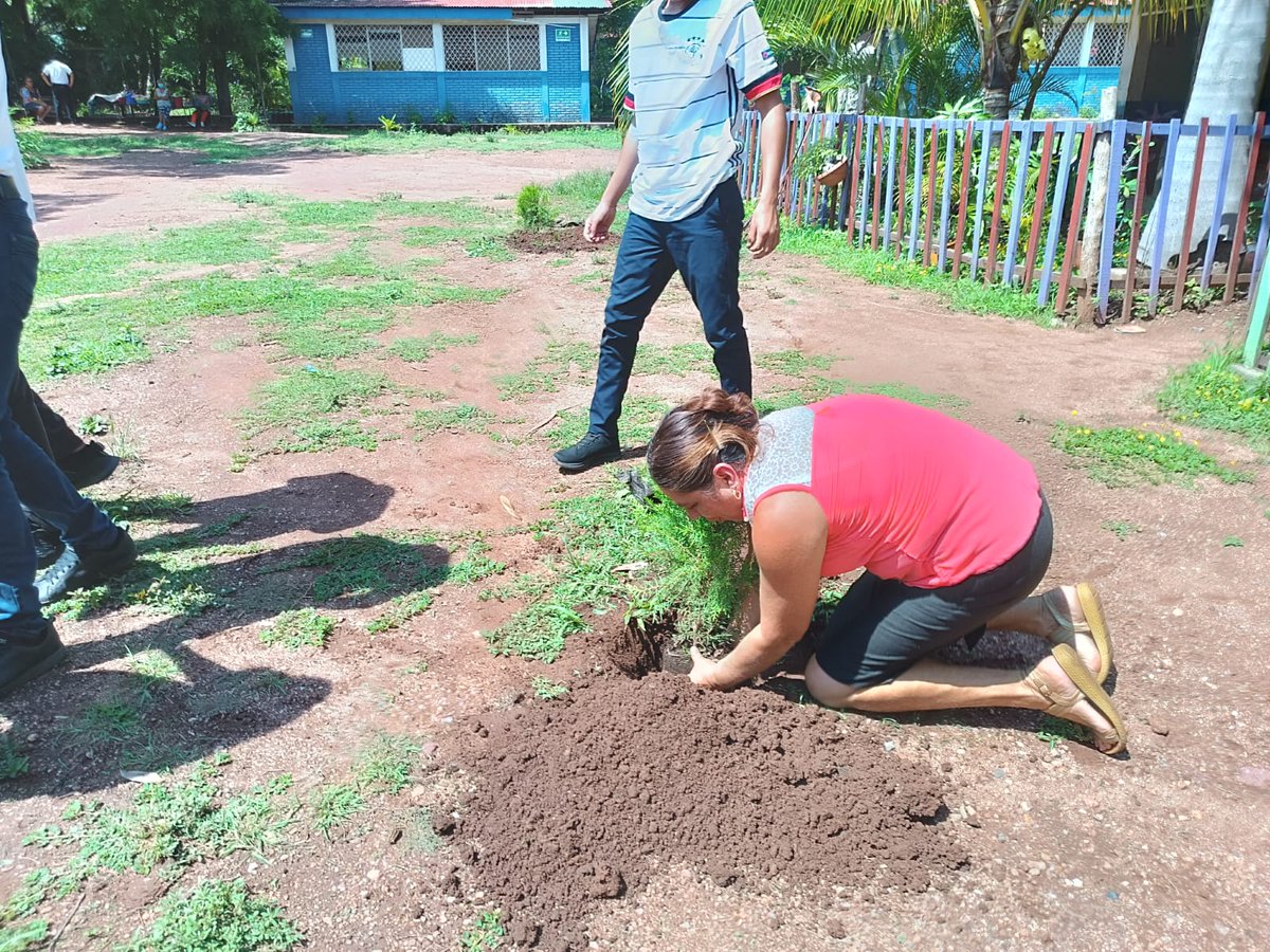 Mined Nicaragua On Twitter Rt Minedtotogalpa Campaña Nacional