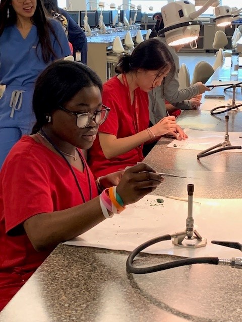 CTE_SBISD on Twitter: "Thank you @UTSDHouston for providing an exciting hands on experience and ...